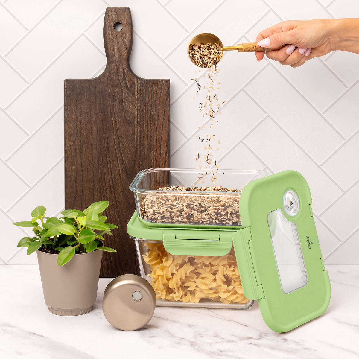 Best Vacuum Marinate Container for Fresh Flavor | SealVax