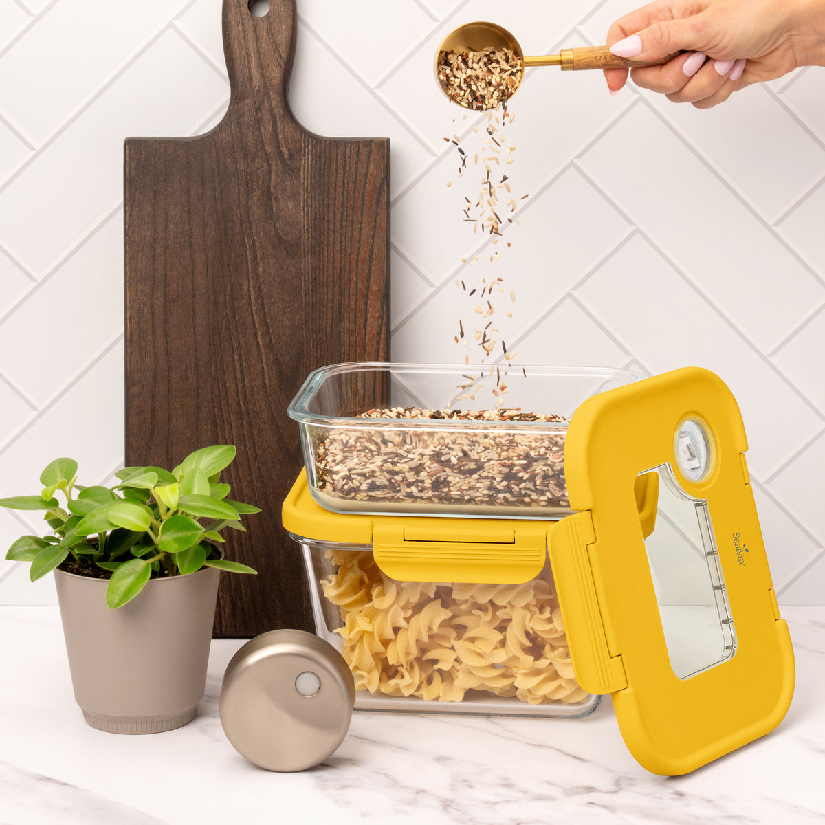 Best Vacuum Marinate Container for Fresh Flavor | SealVax